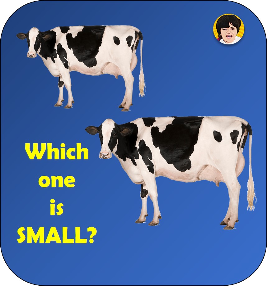Demonstration of App - Preschoolify